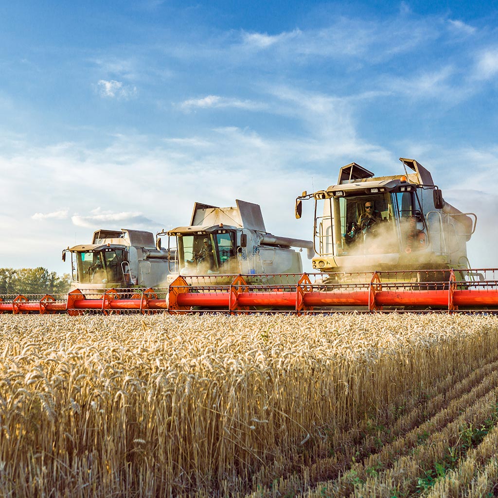 Tecnología – Rural Tech
