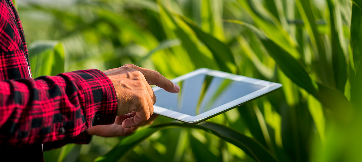 Tecnología – Rural Tech
